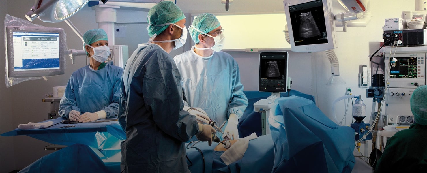 Laparoscopic Ultrasound-Guided Tumor Ablation [Video]