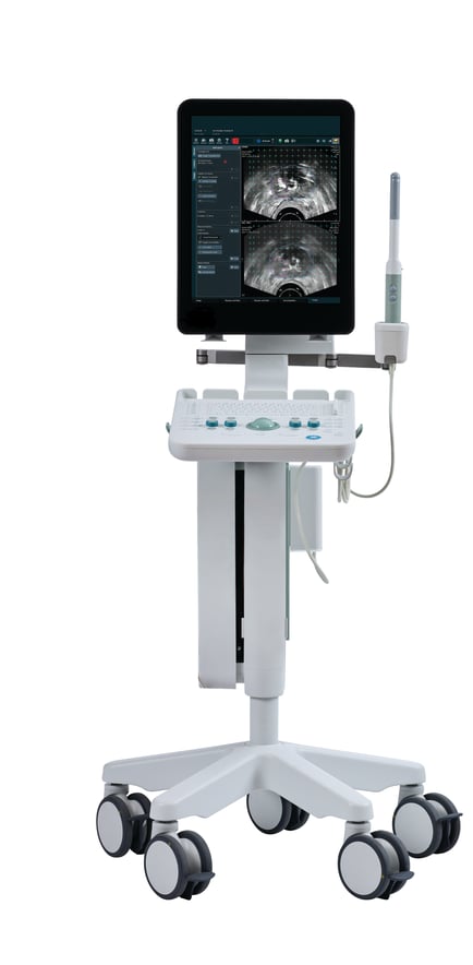 bkFusion for Transperineal Prostate Biopsies with Local Anesthesia